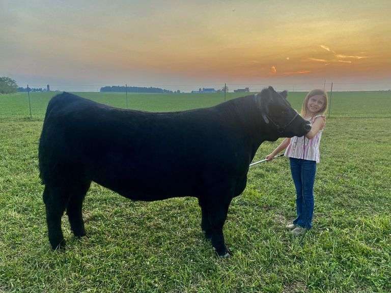 Rylee Knapke Mercer Co Jr Cattle Assn Rylee Knapke Mercer Co Jr Cattle ...