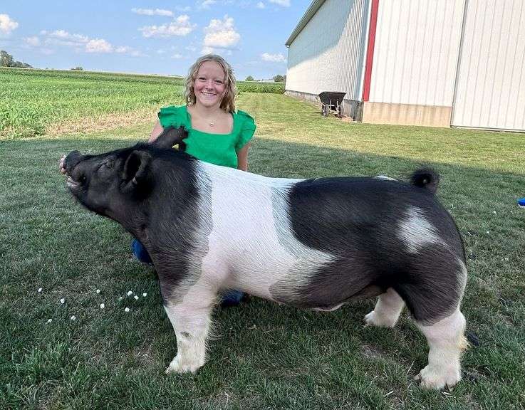 Raygen Kramer Buckeye 88 Raygen Kramer Buckeye 88 - Breeders World