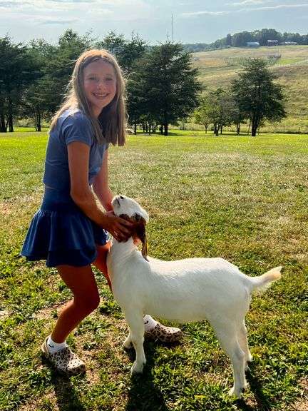 Sophia Literal Animals R US - Breeders World