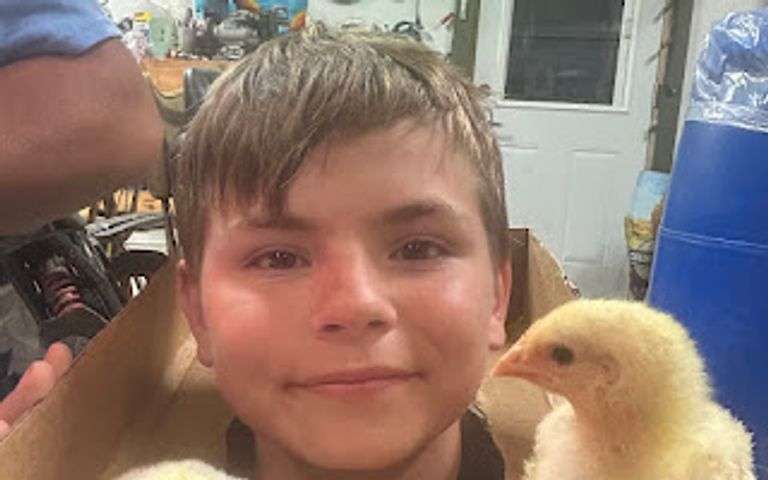 Huntlee Cleland New Riegel Rawhide & Woolies - Breeders World