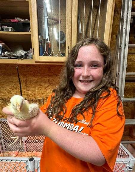 Makenna May Hopewell Hog & Dairy - Breeders World