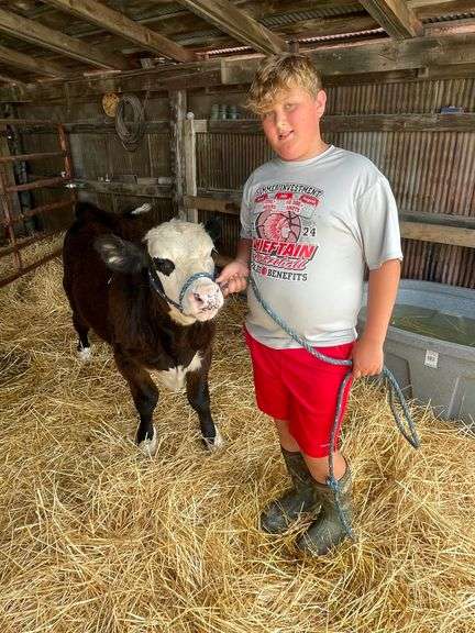 Elijah Humphrey Blue Ribbon Buckeyes - Breeders World
