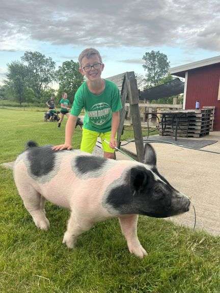 Amos Inman McCartyville Producers - Breeders World