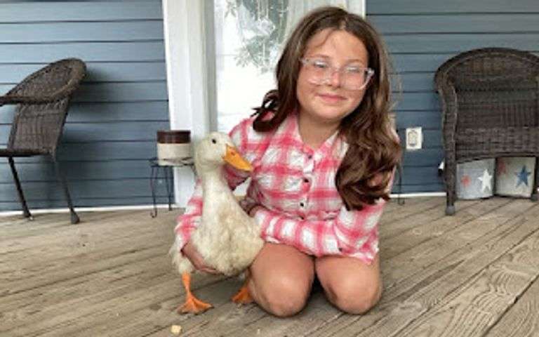 Madison Harrison New Riegel Rawhide & Woolies - Breeders World