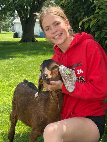 Lorelai Cleland New Riegel Rawhide & Woolies - Breeders World