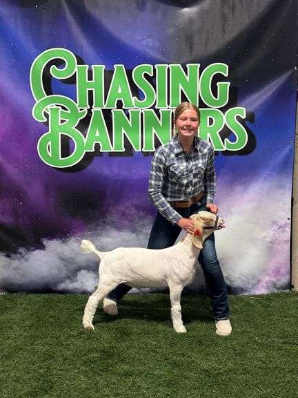 Aubrey Taylor Mohawk FFA - Breeders World