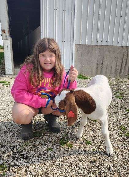 Grace Dues Washington Winners - Breeders World