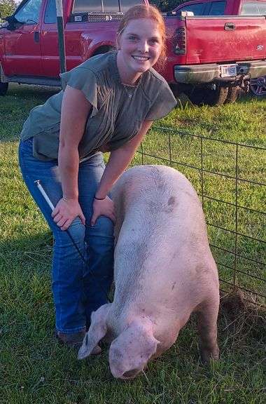 Karleigh South Stars of Tomorrow - Breeders World