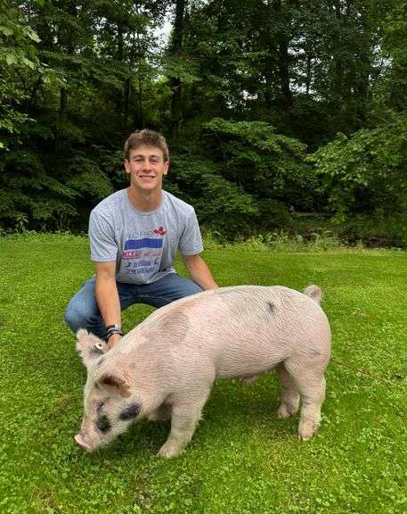 Myles Montgomery Animals R Us - Breeders World