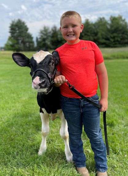 Brock Collins Flashes 4-H - Breeders World