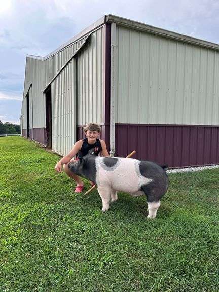 Colby Mullens Happy Campers - Breeders World