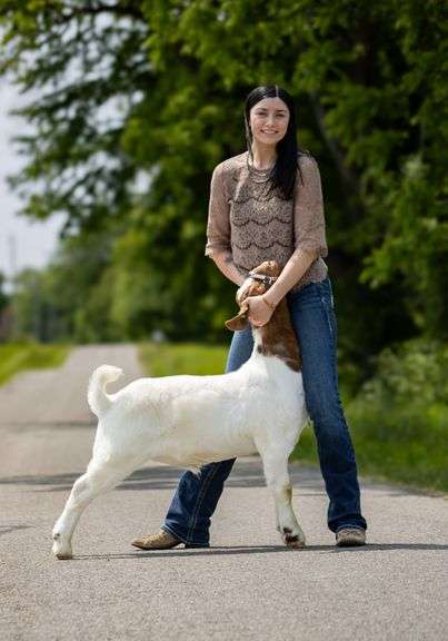 Alivia Kirian Bloomville Good Luck Sheep - Breeders World