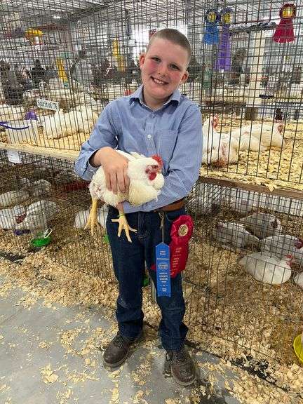 Andrew Peacock Spirit of '76 - Breeders World