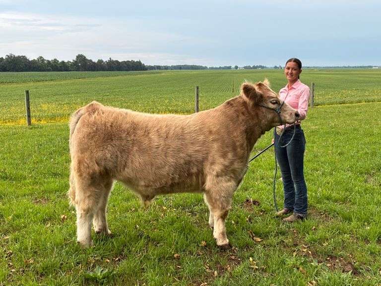 Emma Lyon Bellevue FFA - Breeders World