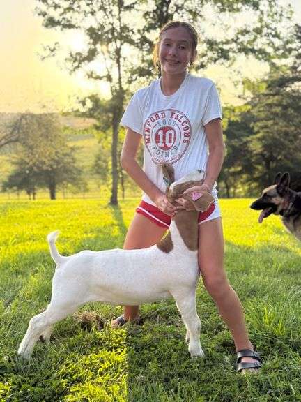 Sophia Literal Animals-R-US - Breeders World