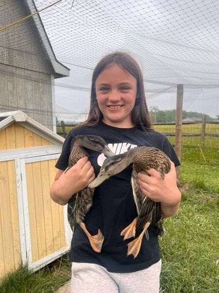 Ellie Wonderly "Kids, Pigs & Udders" - Breeders World