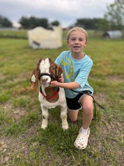 Madelyn Atley T-Birds - Breeders World