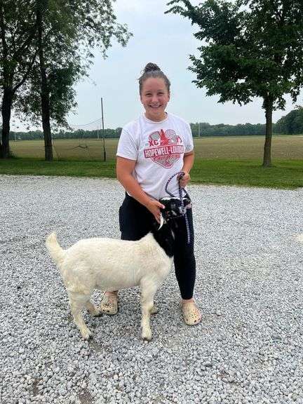 Mallory Rowe Country Clovers - Breeders World