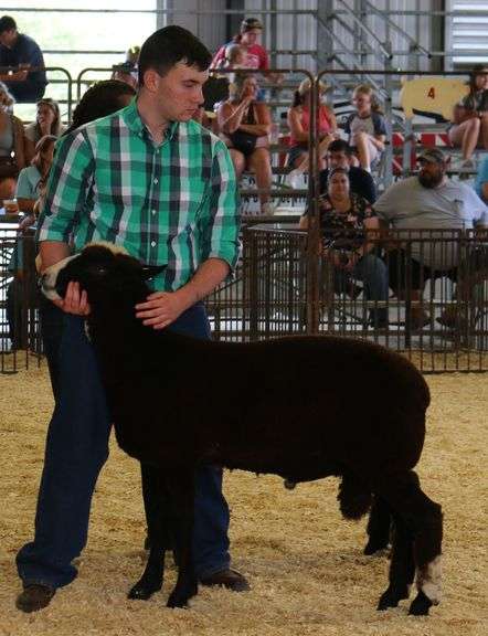 Brandon Fitzpatrick New Riegel Rawhide & Woolies - Breeders World