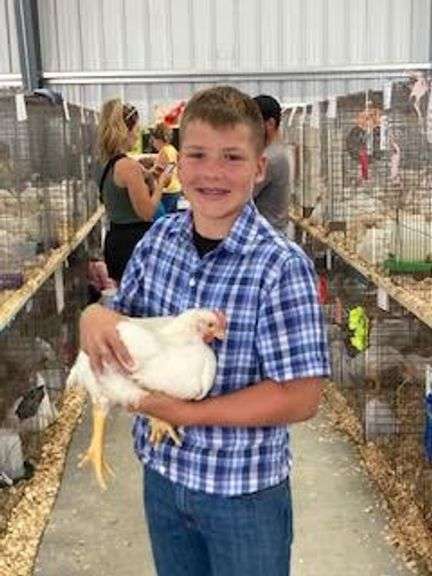 Gabriel Smith Clinton Farmers - Breeders World