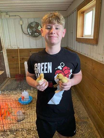 Weston Kerschner Seneca Saddle Straddlers - Breeders World