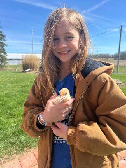 Liviah Pippin Spirit of '76 - Breeders World