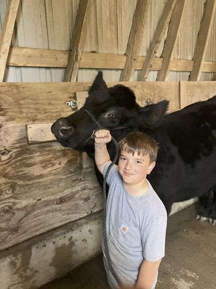 Ben Lewis Perry Livestock - Breeders World