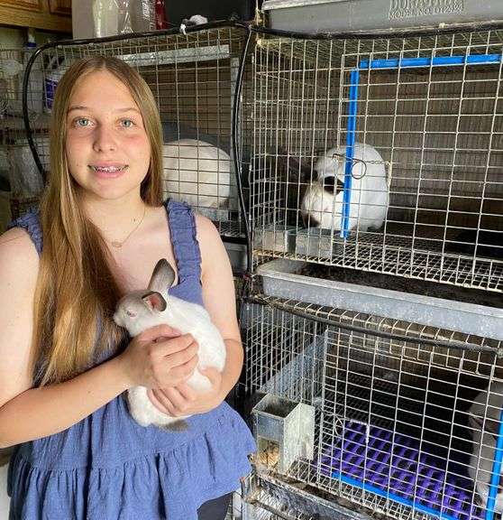 Sage Jones Darke County Rabbit Raisers - Breeders World