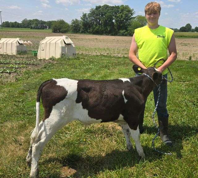 Timothy Kessler Jr. New Riegel Rawhide & Woolies - Breeders World
