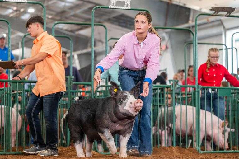Harper Smith Swine Koolers - Breeders World