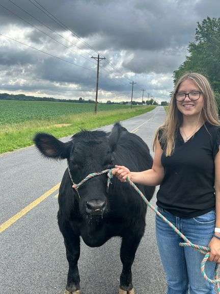 Addison Horner Blue Ribbon Buckeyes/ Mohawk FFA - Breeders World