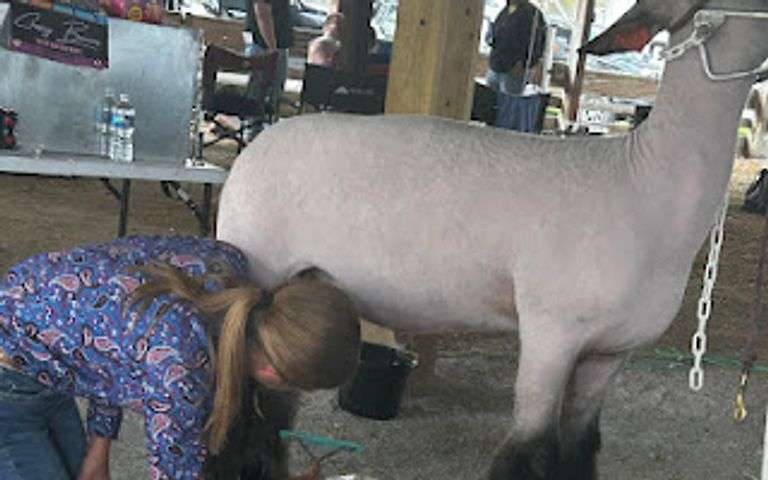Kelsey Brickner Hopewell Hog & Dairy - Breeders World