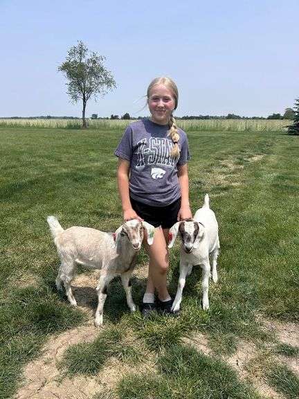 Adele Lemley Hopewell Hog & Dairy - Breeders World