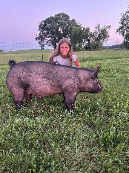 Layni Conkel Happy Campers - Breeders World