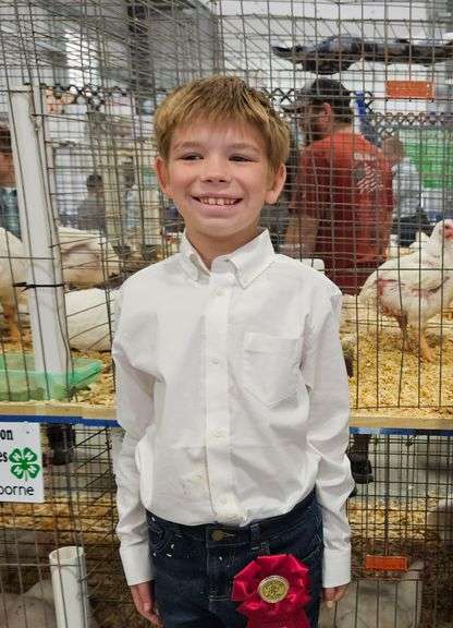 Dominic Sayre Bloomville Good Luck Sheep - Breeders World