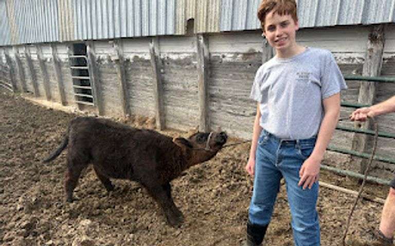 Miles Good Thompson Toilers - Breeders World