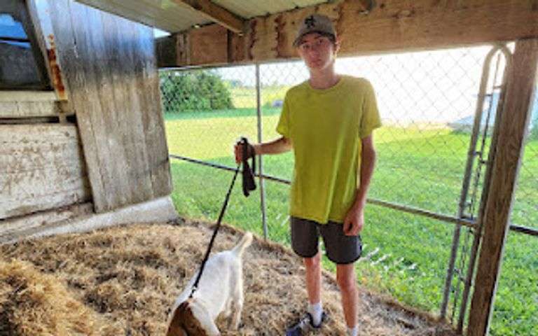 Jaren Popenberg Blue Ribbon Buckeyes - Breeders World