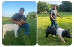 Jeb Baudendistel T-Birds - Breeders World