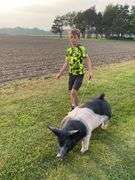 Alex Marion Seneca CPA’s - Breeders World