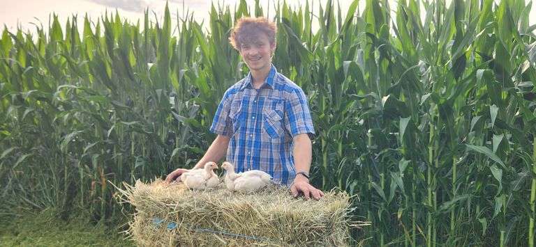 Theodore "T.J." Logan Firelands FFA - Breeders World