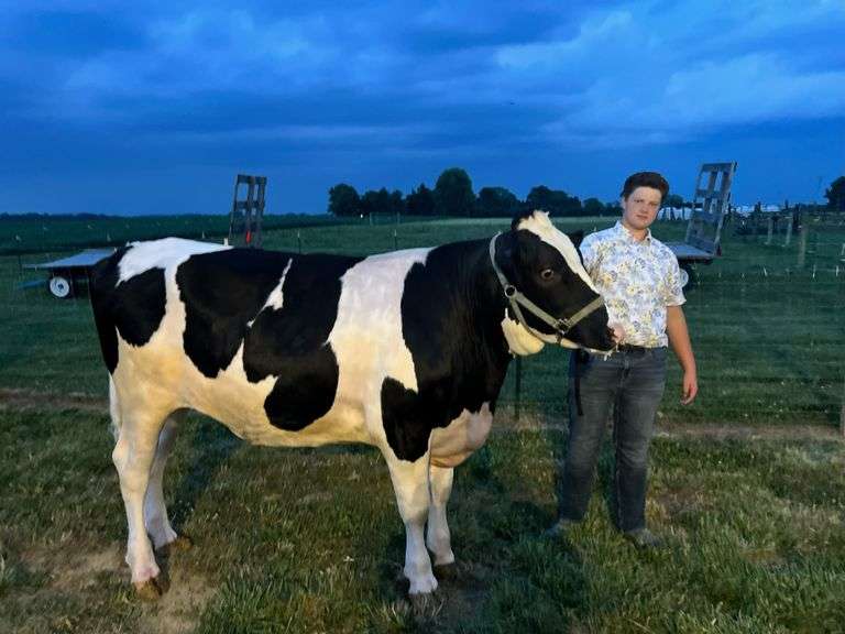 Pierce Finnegan Firelands FFA - Breeders World