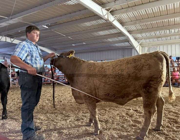 Kade Eller Rockford Thrifty - Breeders World