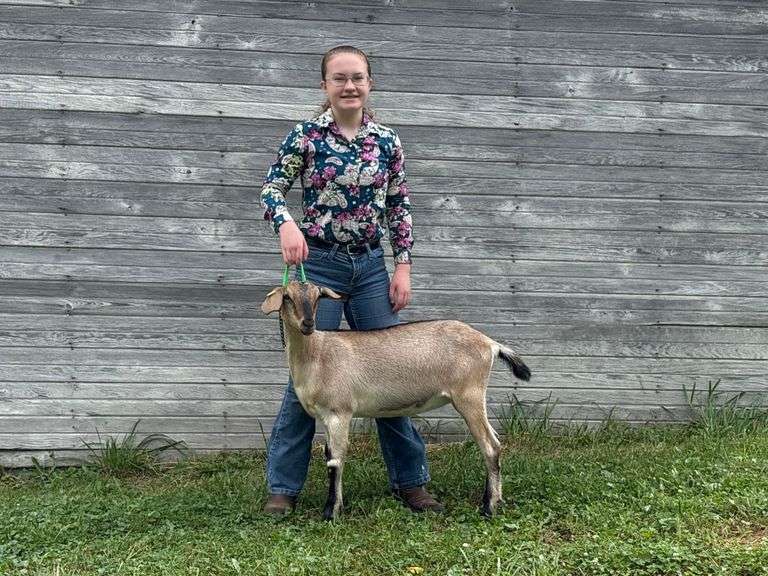 Violet Howells Firelands FFA - Breeders World