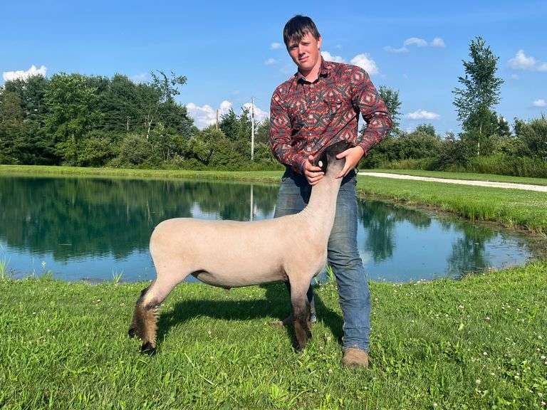Tyler Burns Rochester Winning Workers 4-H Club & Wellington FFA ...