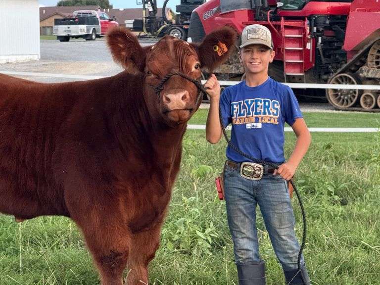 Austin Evers Cassella Buckeyes - Breeders World