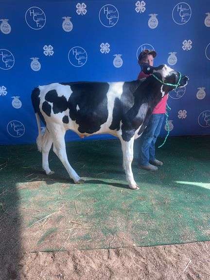 Brock Collins - Breeders World