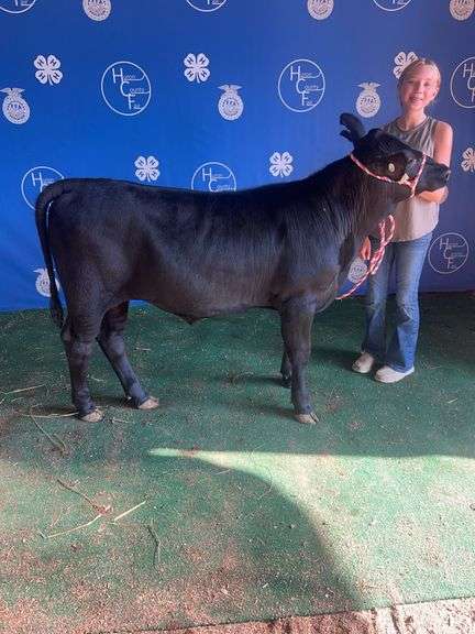 Ava Stevenson - Breeders World