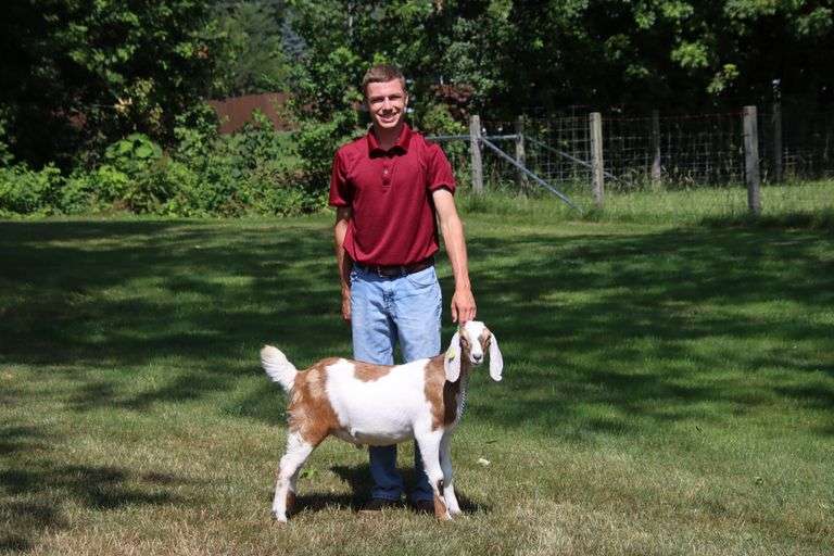 Andrew Krupka Forward Bound 4-H Club - Breeders World