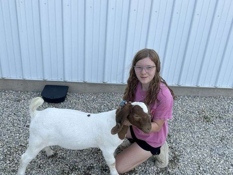 Torri Shoupe Washington Winners - Breeders World