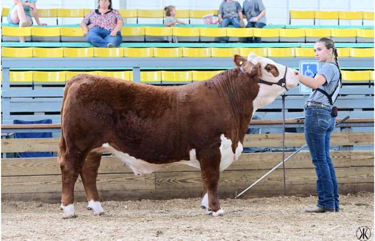 Jennifer Keets Four Leaf Clovers 4-H Club - Breeders World